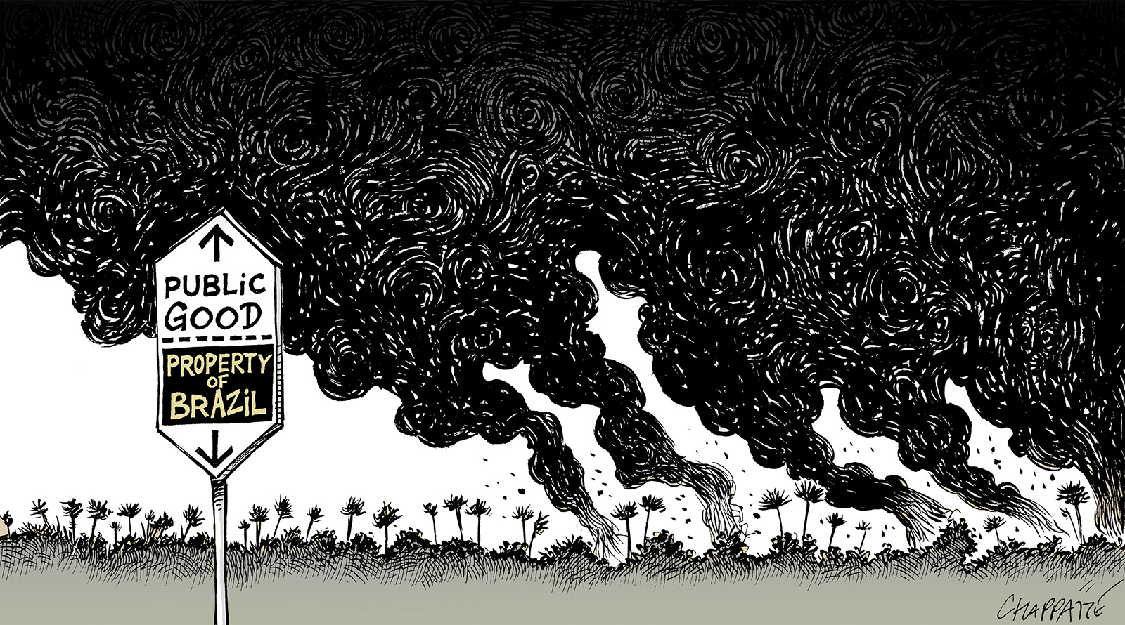 Amazon rainforest on fire | Globecartoon - Political Cartoons - Patrick ...